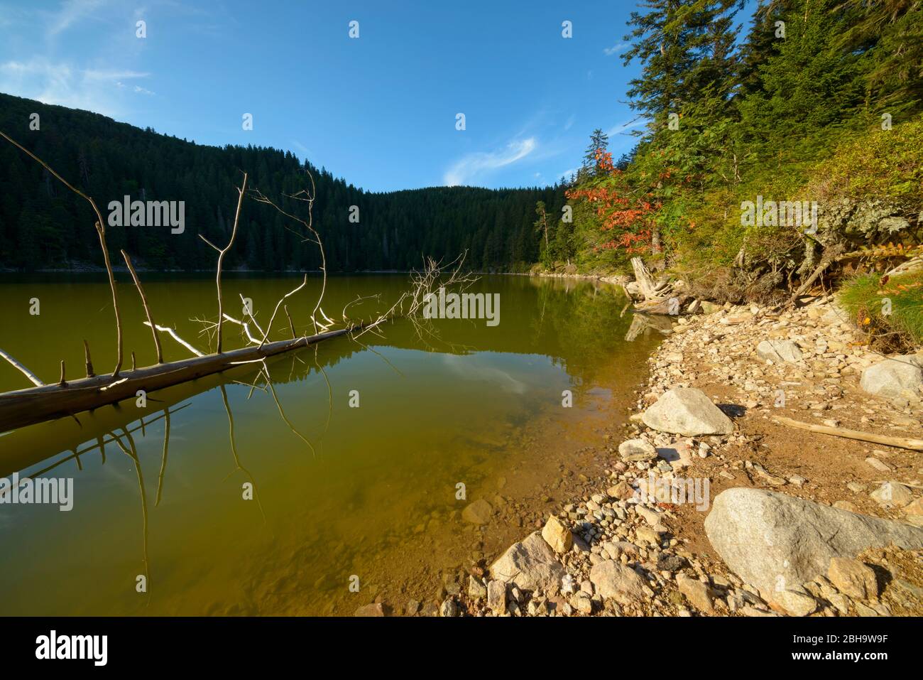 Lac Vert France High Resolution Stock Photography and Images - Alamy