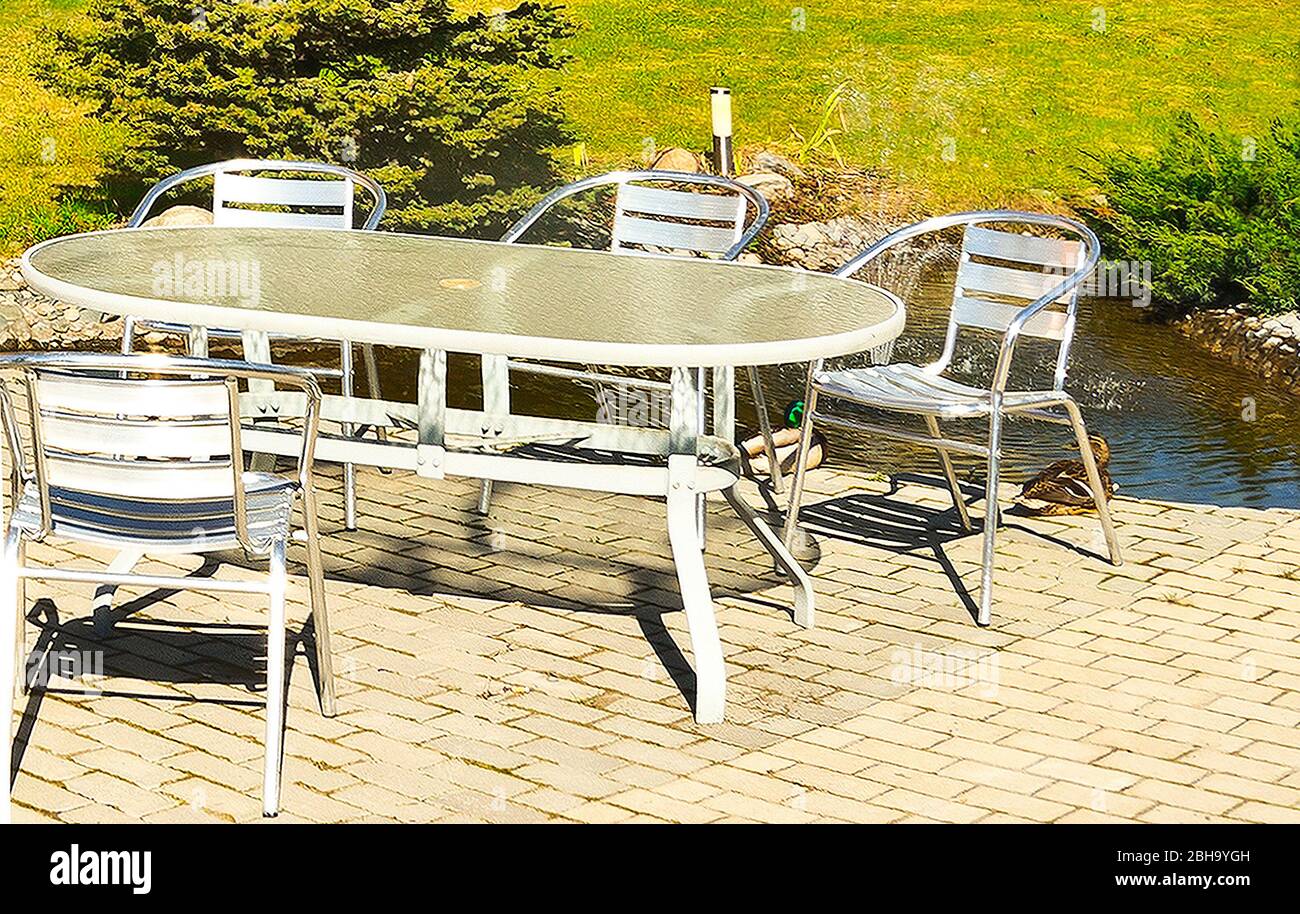 landscaped design with mallard ducks Stock Photo - Alamy