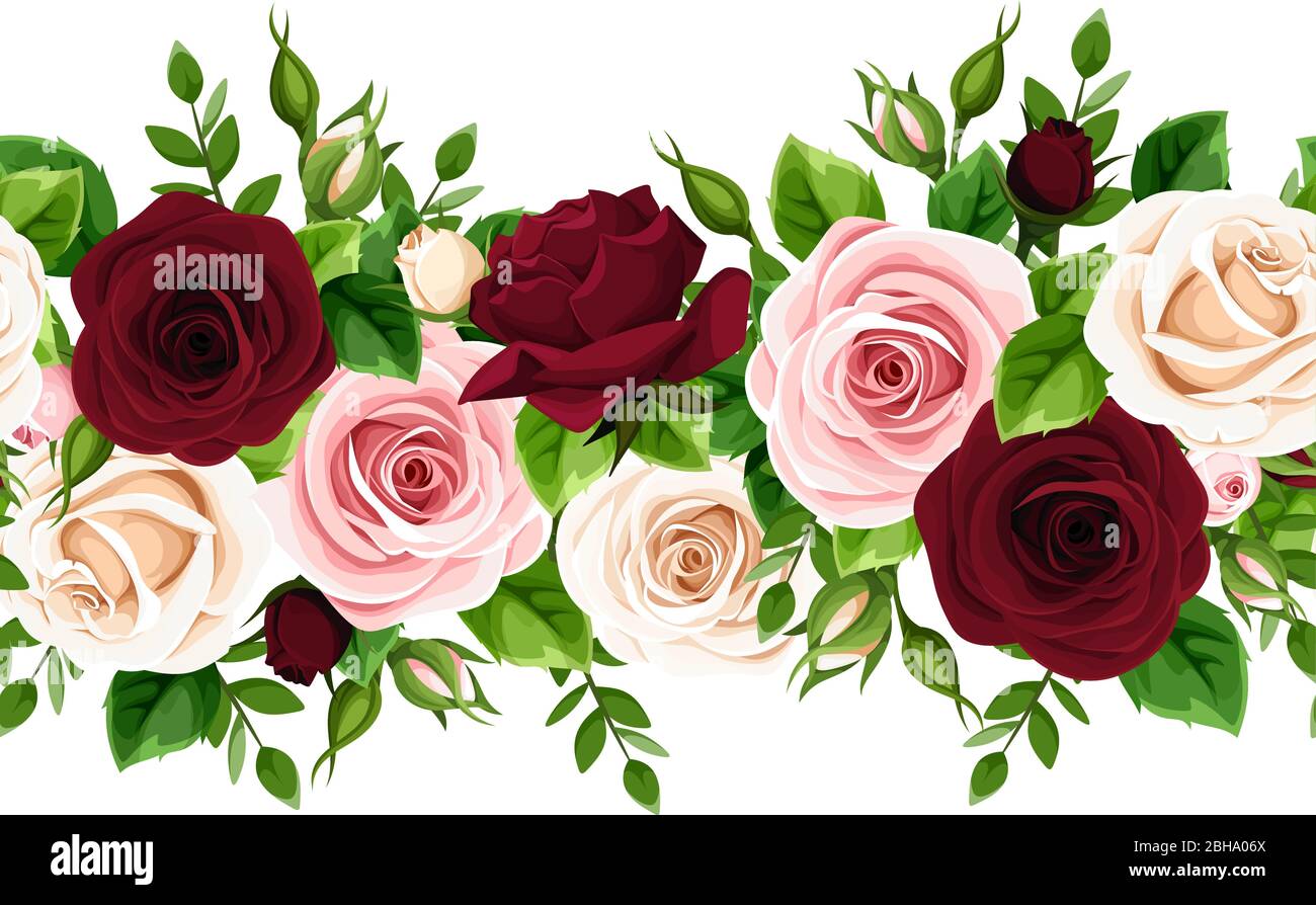 Vector horizontal seamless border with burgundy, pink and white roses ...