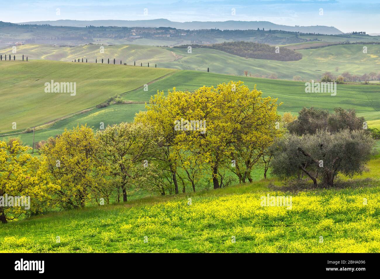 Tuscan landscape hi-res stock photography and images - Alamy