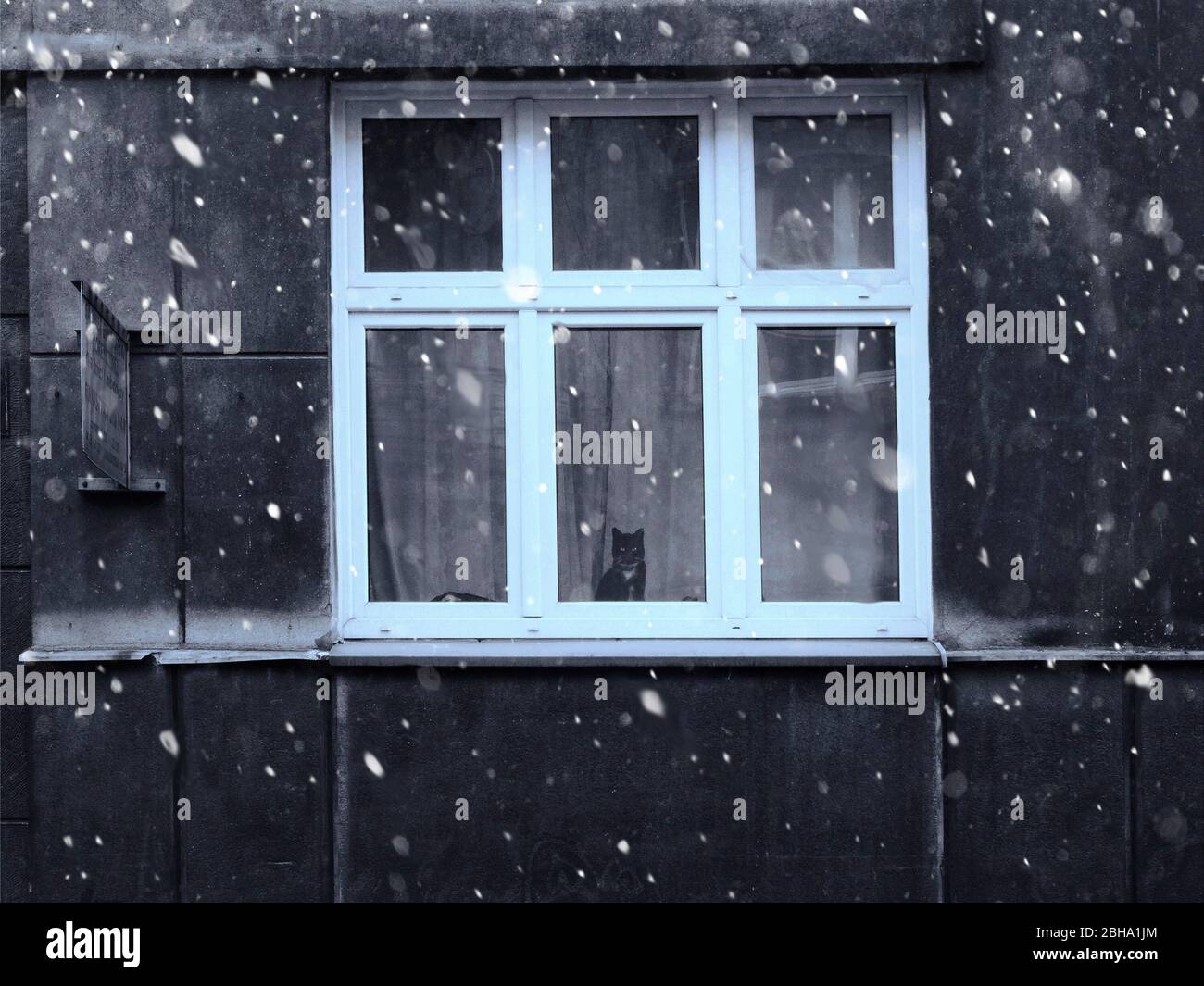 Cat in the window at winter time hi-res stock photography and images ...