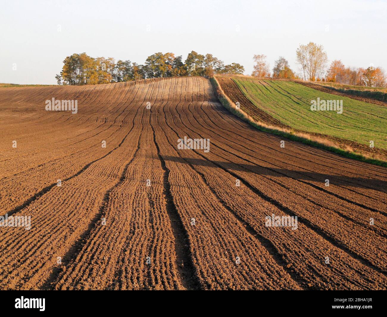 Agriculture In Poland High Resolution Stock Photography and Images - Alamy
