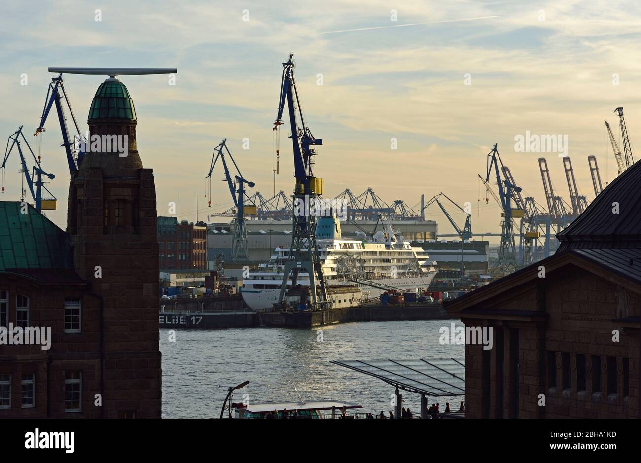 Europe, Germany, Hamburg, harbor, passenger ship Amadeus in dry dock ...