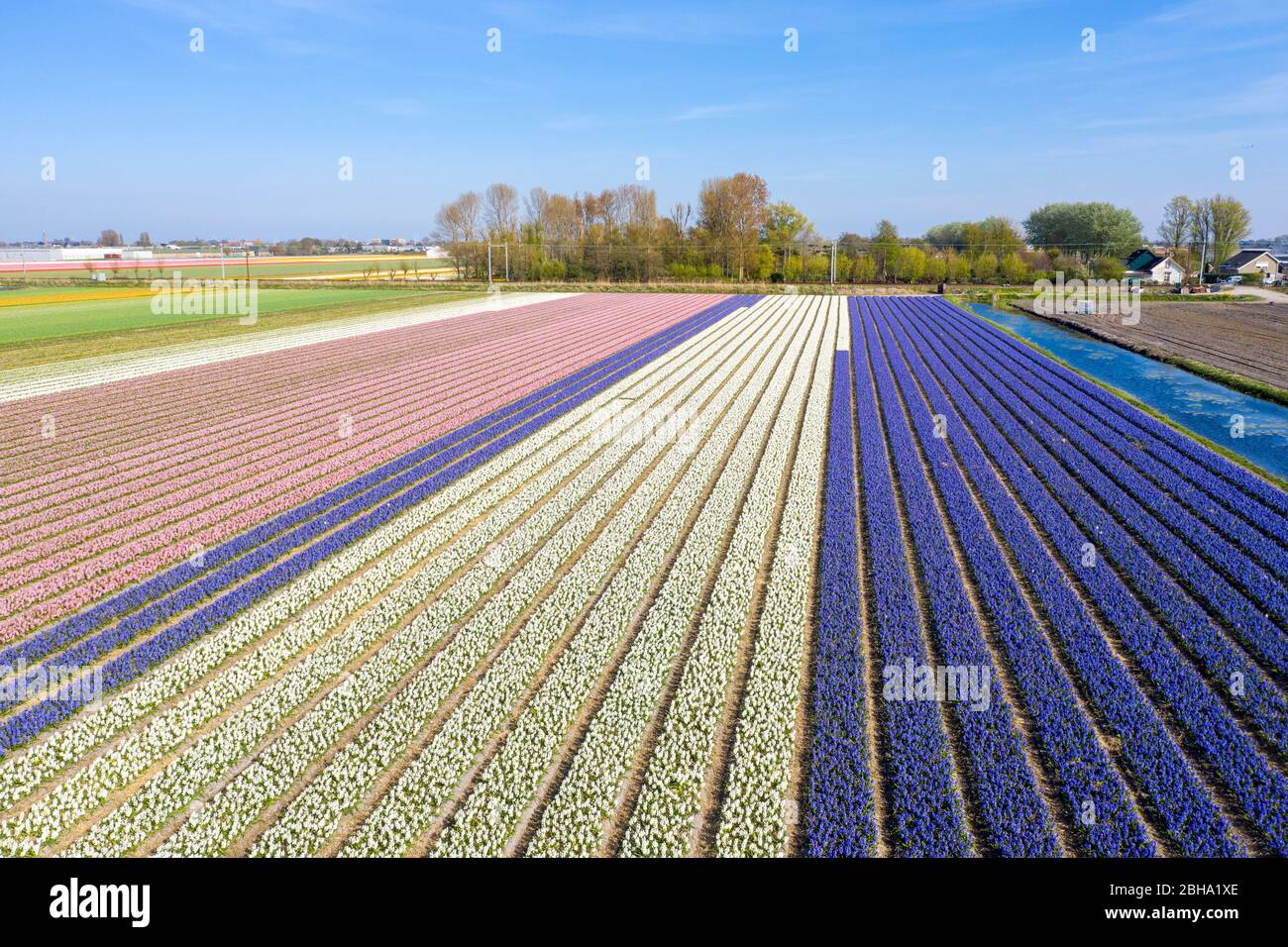 Keukenhof aerial hi-res stock photography and images - Alamy