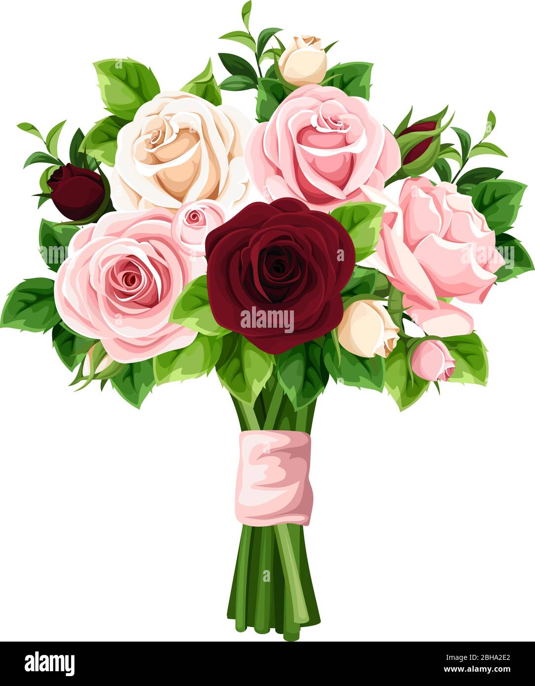 Vector bouquet of pink, burgundy and white roses isolated on a white ...