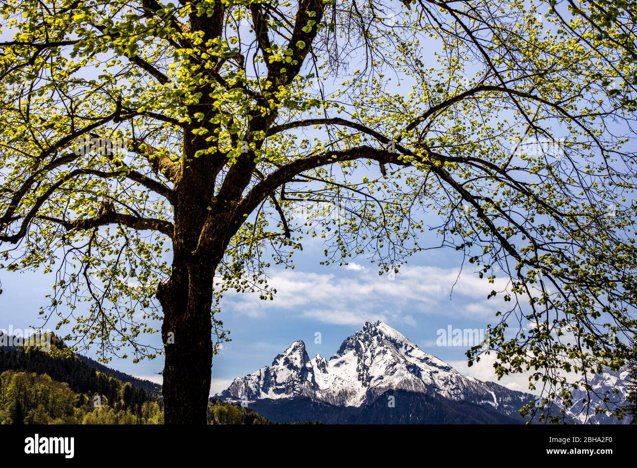 Watzmann In Spring High Resolution Stock Photography and Images - Alamy