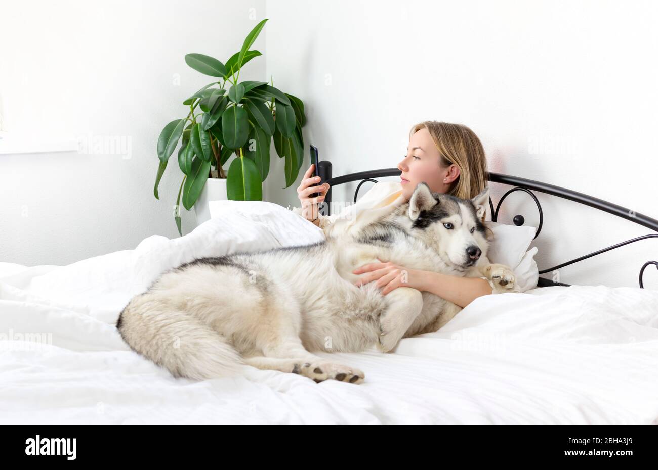 Lazy Animals In Bed