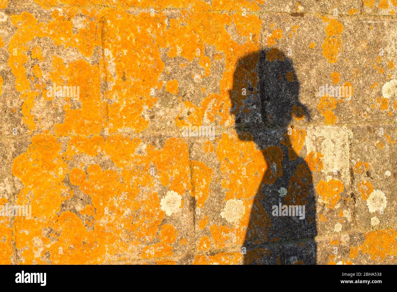 Humans shadows on a wall hi-res stock photography and images - Alamy