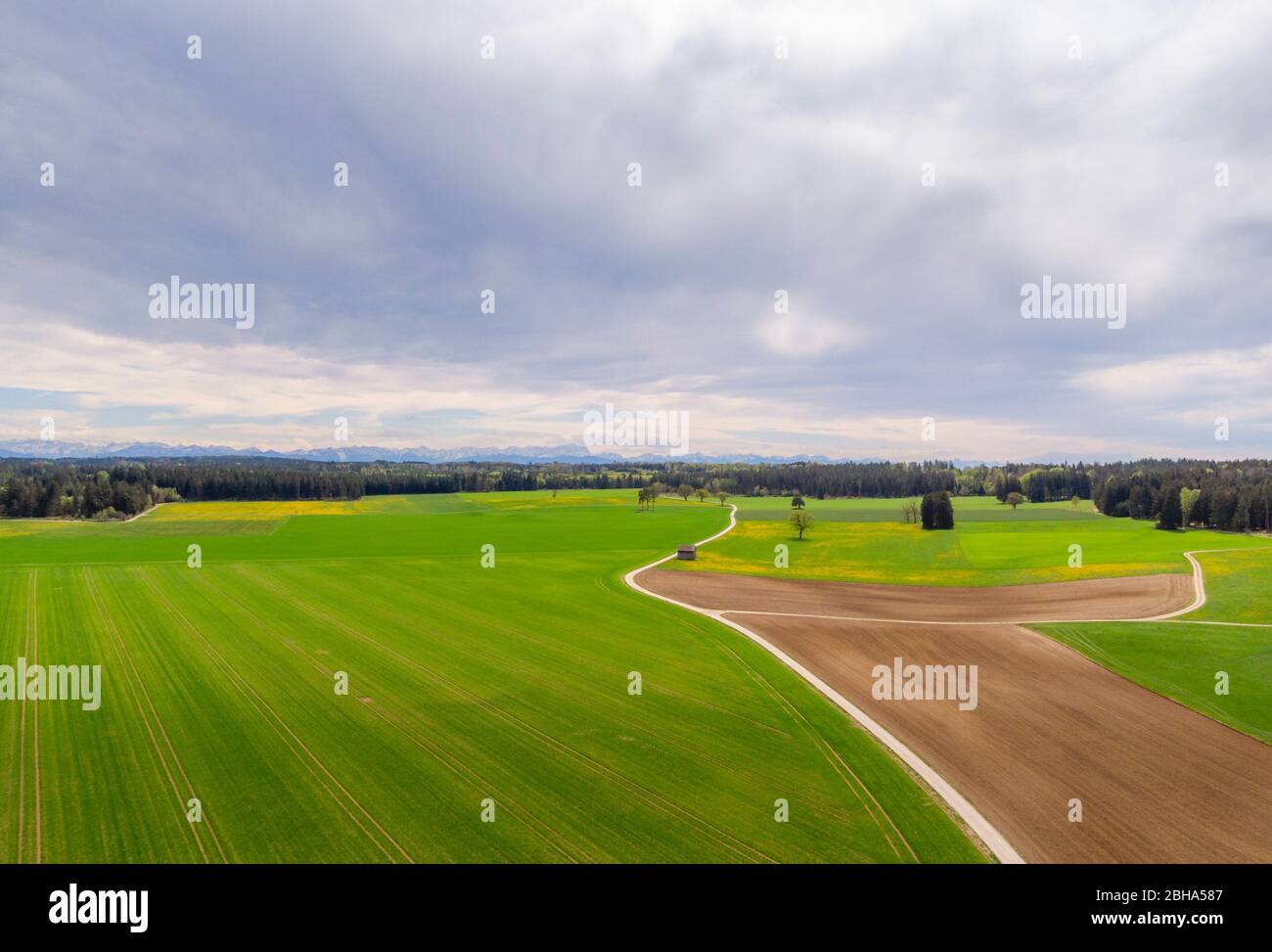 Landscape with green fields and fields in the Bavarian Voralpenland ...