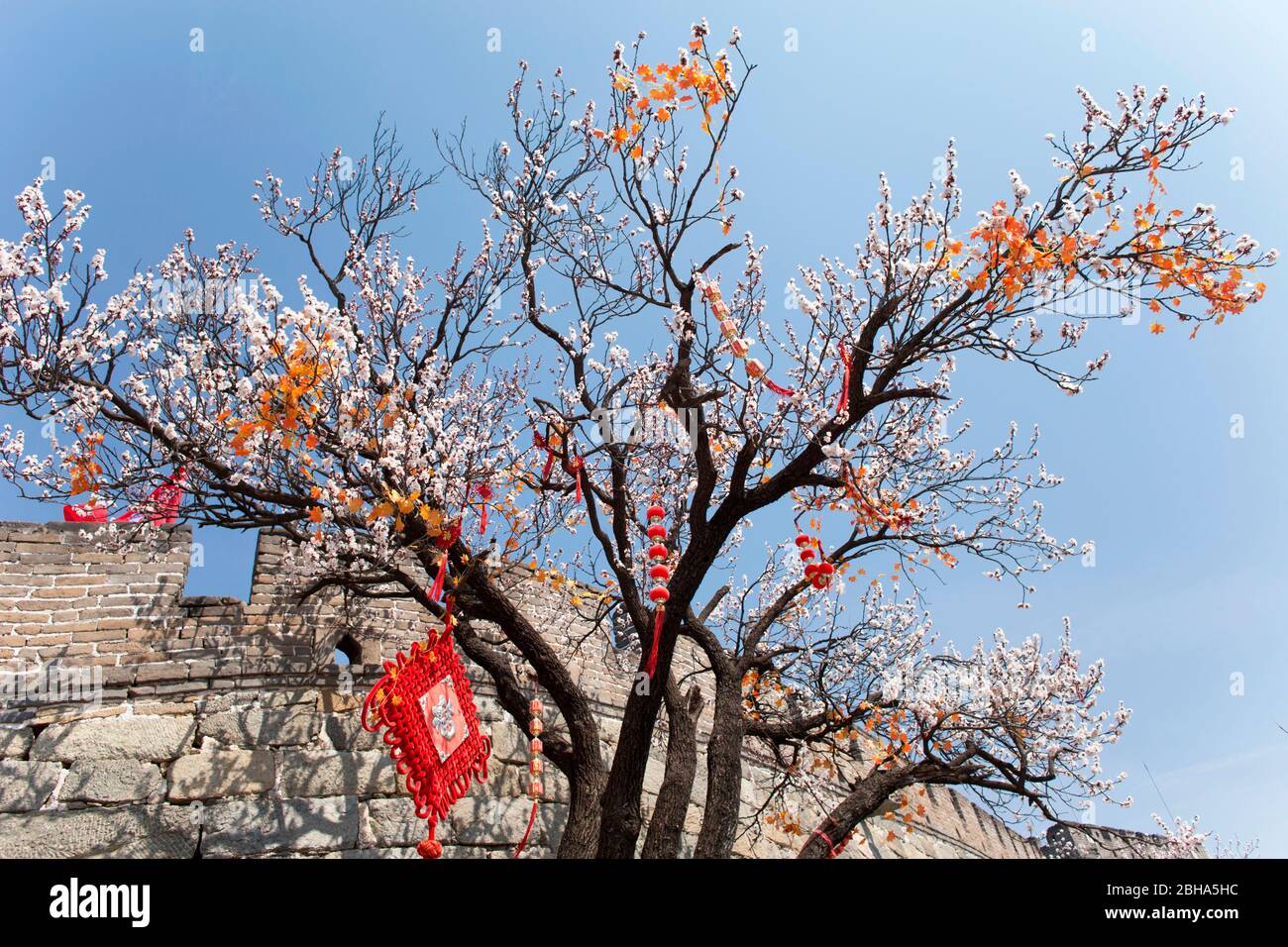 Wall spring hi-res stock photography and images - Alamy