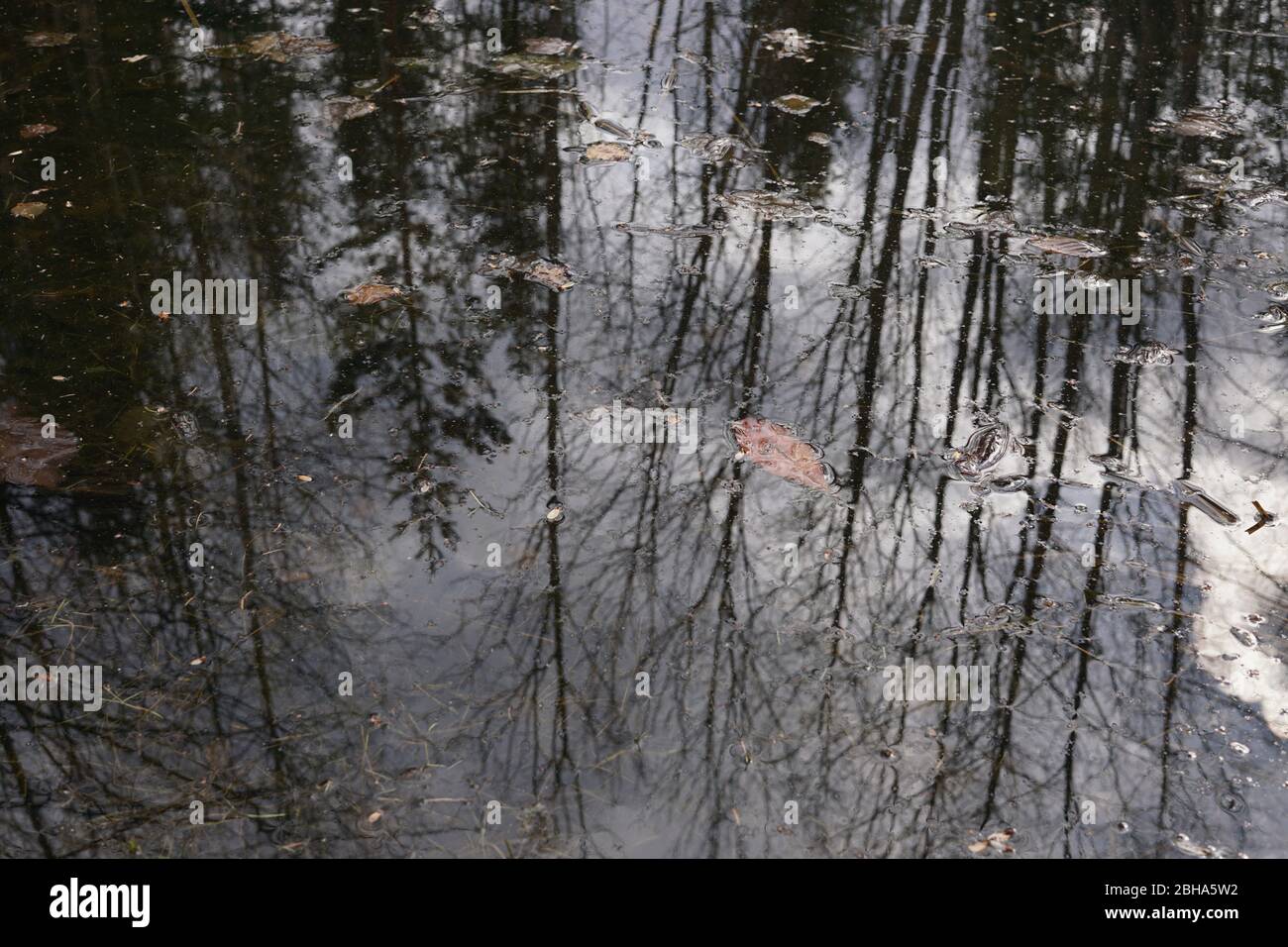 Reflecting early hi-res stock photography and images - Alamy