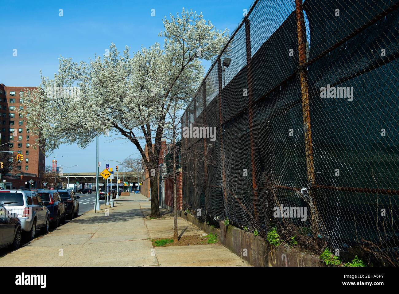 Spring without people in New York City during COVID 19 times Stock ...