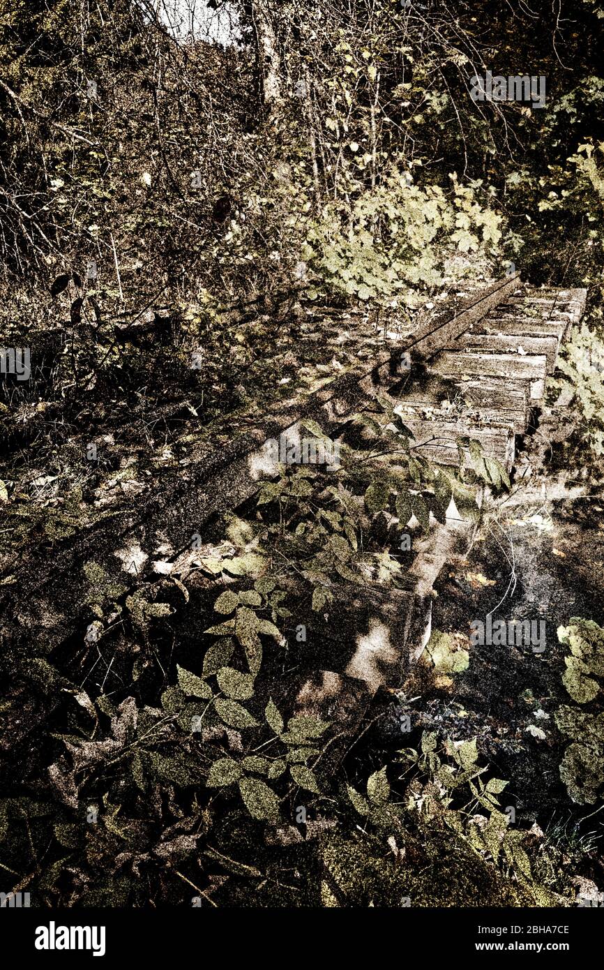 Track, plants, threshold, wild, foliage, digitally edited, RailArt ...