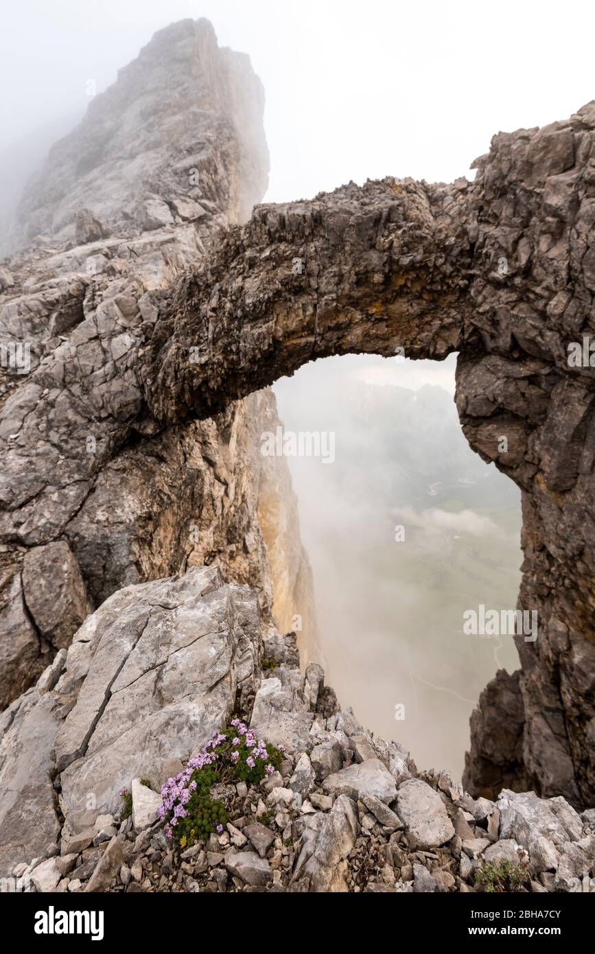 Alpine arch hi-res stock photography and images - Alamy