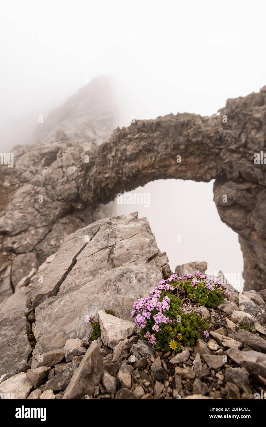 Alpine arch hi-res stock photography and images - Alamy