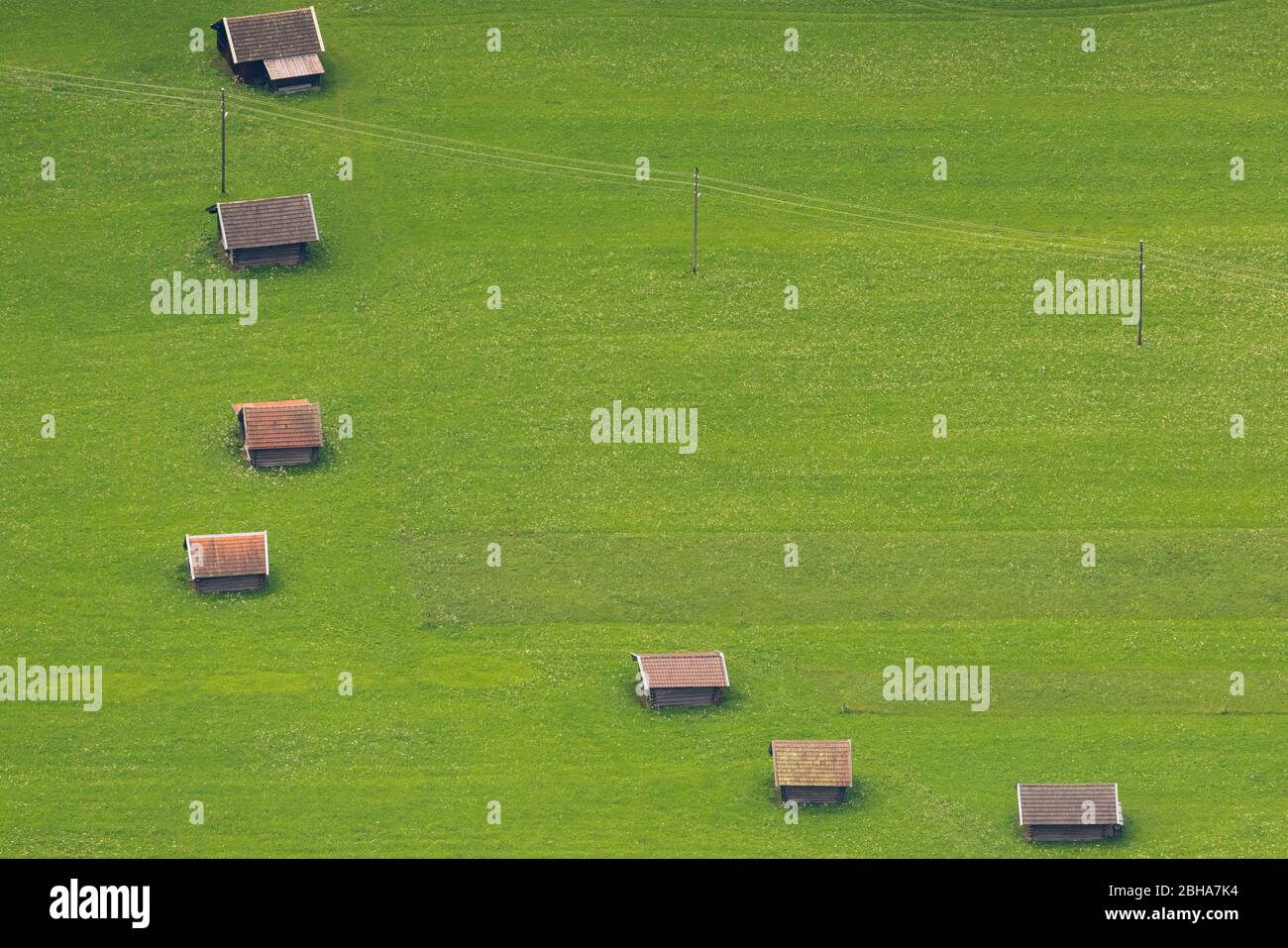 Building a haystack hi-res stock photography and images - Alamy