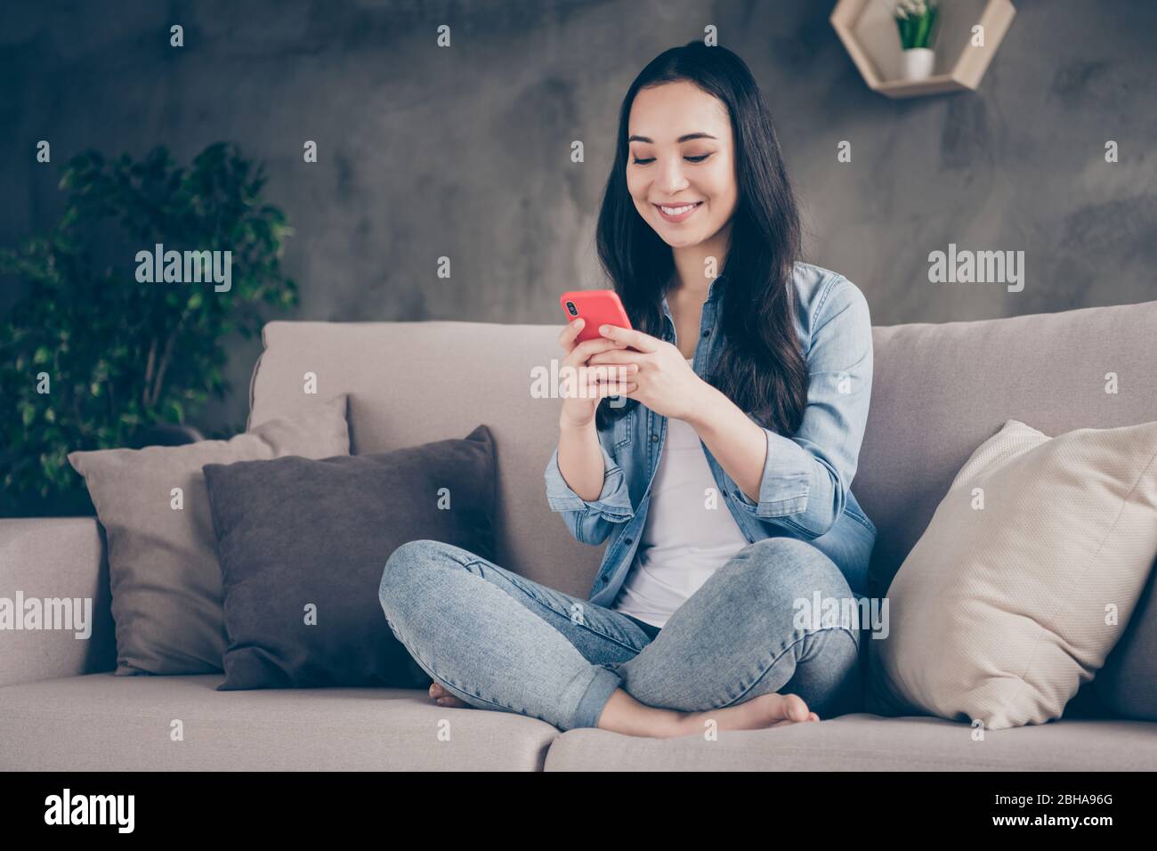 Portrait of positive cheerful girl sir divan legs crossed use smartphone read social network ...