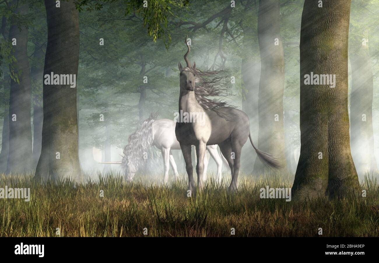 A pair of unicorns, mythical horses of legend and fantasy, with a ...