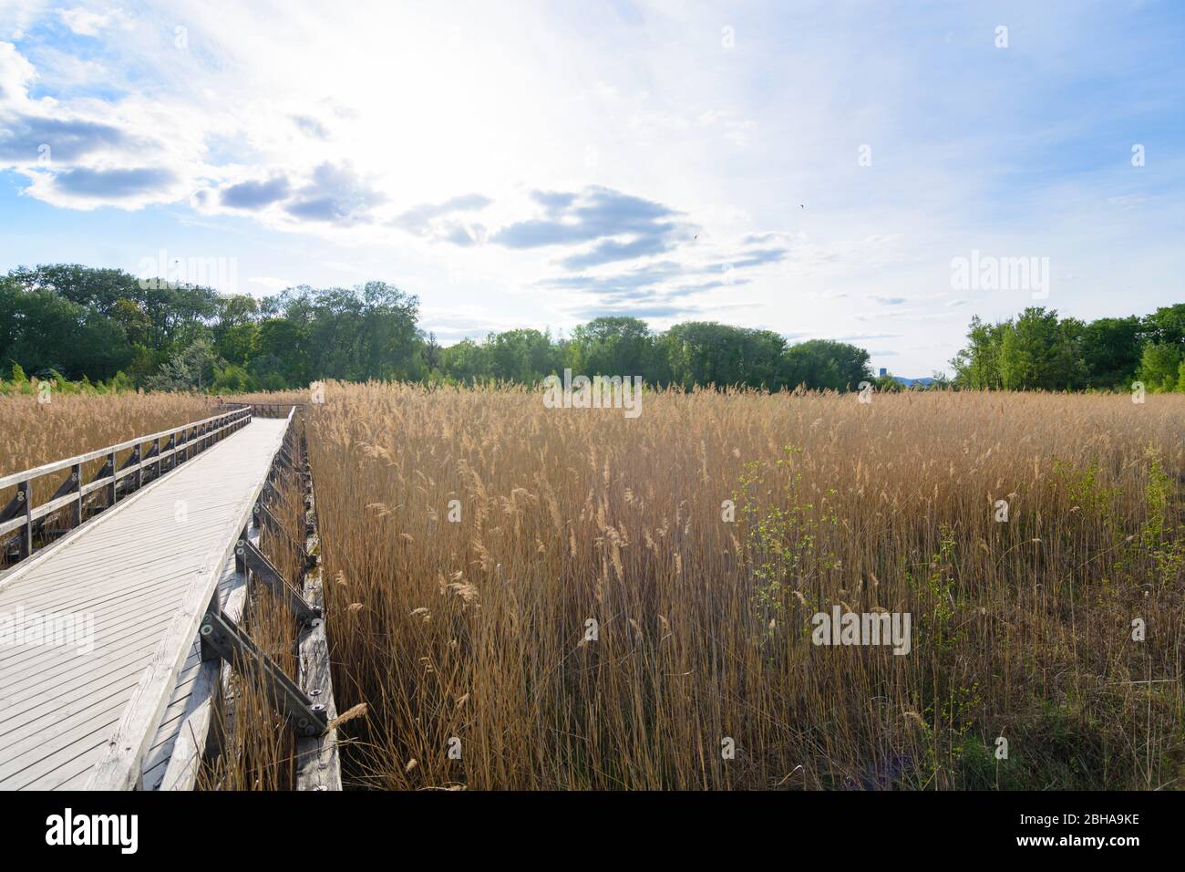 Bridge josefsteg at oxbow lake in 22 donaustadt hi-res stock ...