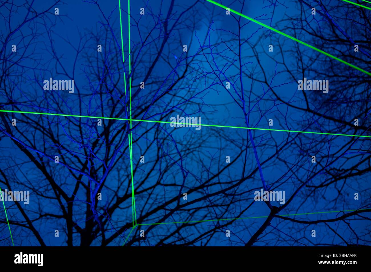 Rhizome light installation hi-res stock photography and images - Alamy