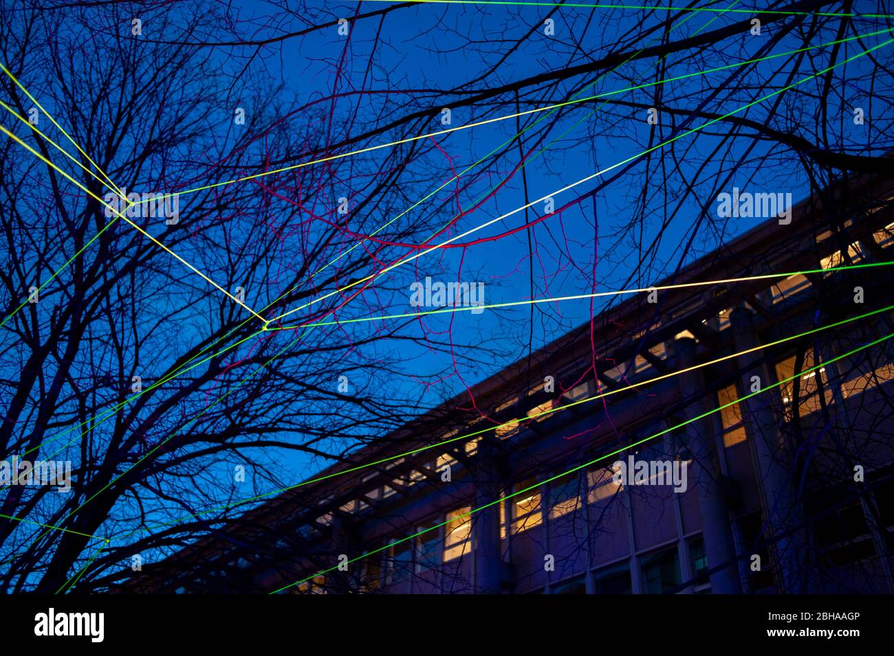 Rhizome light installation hi-res stock photography and images - Alamy