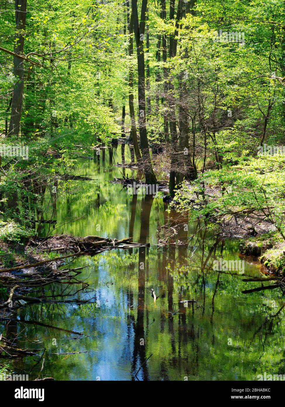 Briese hi-res stock photography and images - Alamy