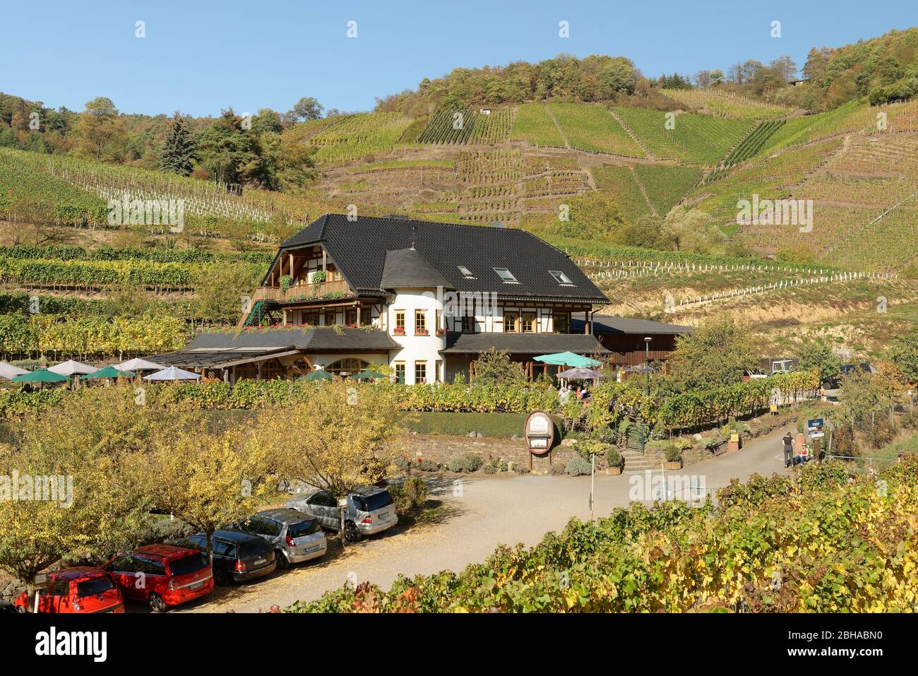 Ahr wine germany hi-res stock photography and images - Alamy