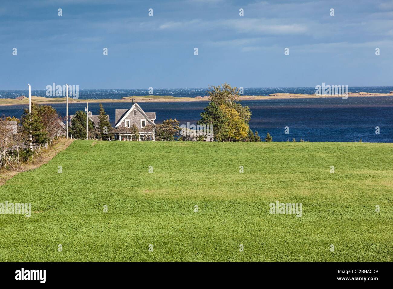 Canada, Prince Edward Island, Springbrook, farm on New London Bay Stock ...