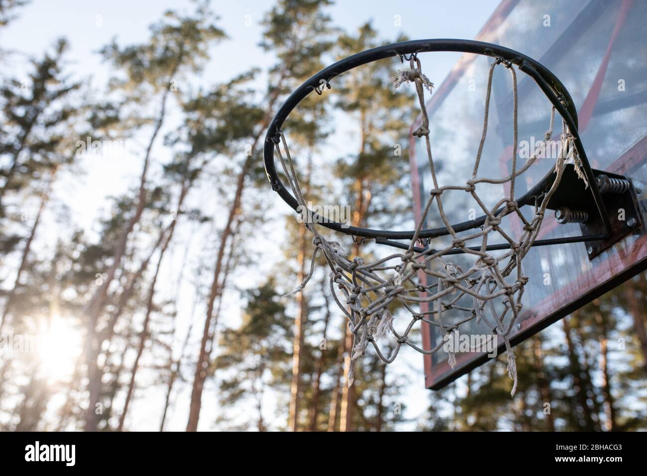 Basketball hoop in the forest Stock Photo - Alamy