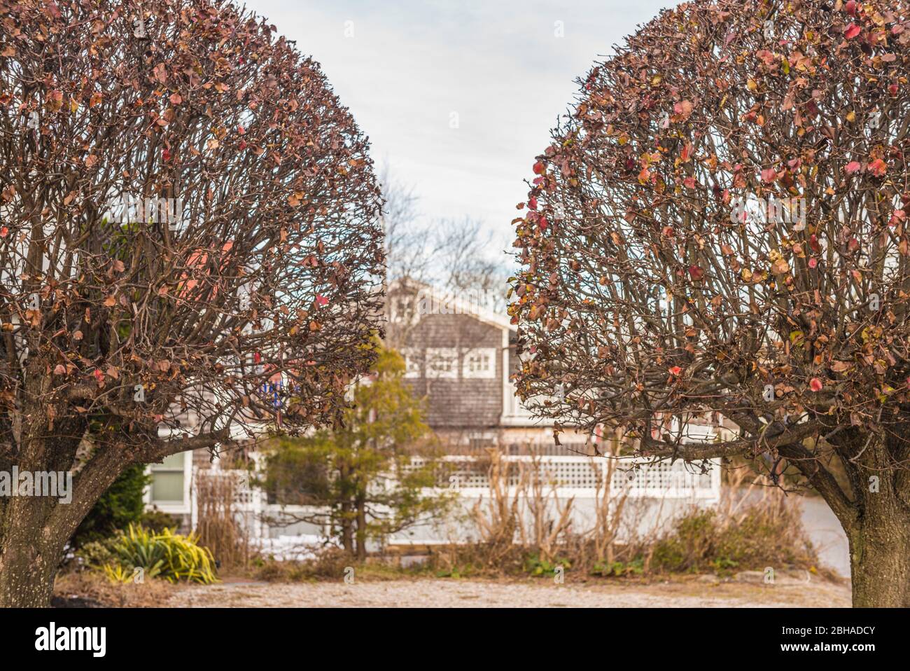Provincetown cape cod winter hi-res stock photography and images - Alamy