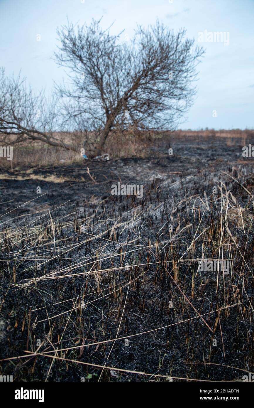 Crop field after drought hi-res stock photography and images - Alamy