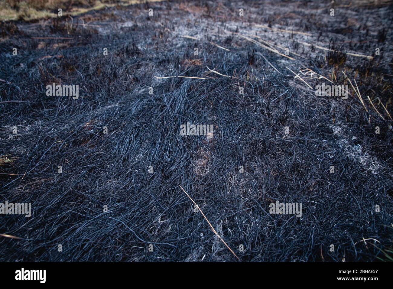 Burned to ashes hi-res stock photography and images - Alamy