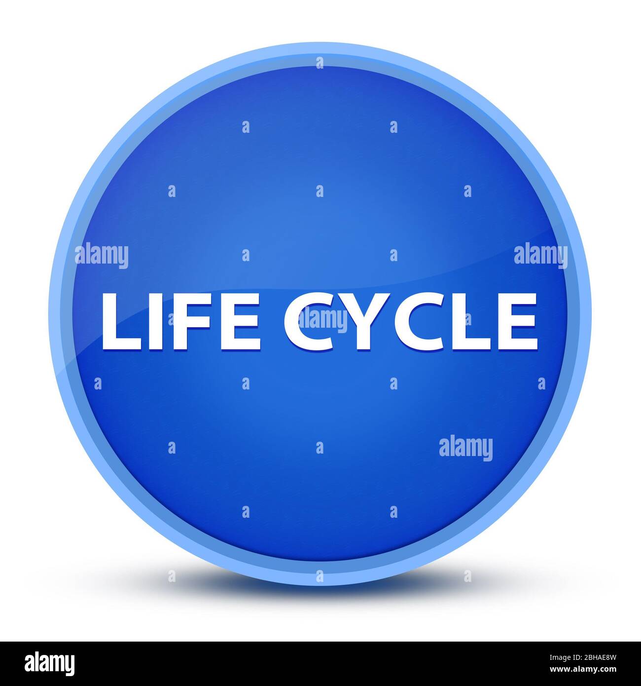 Life Cycle isolated on special blue round button abstract illustration ...