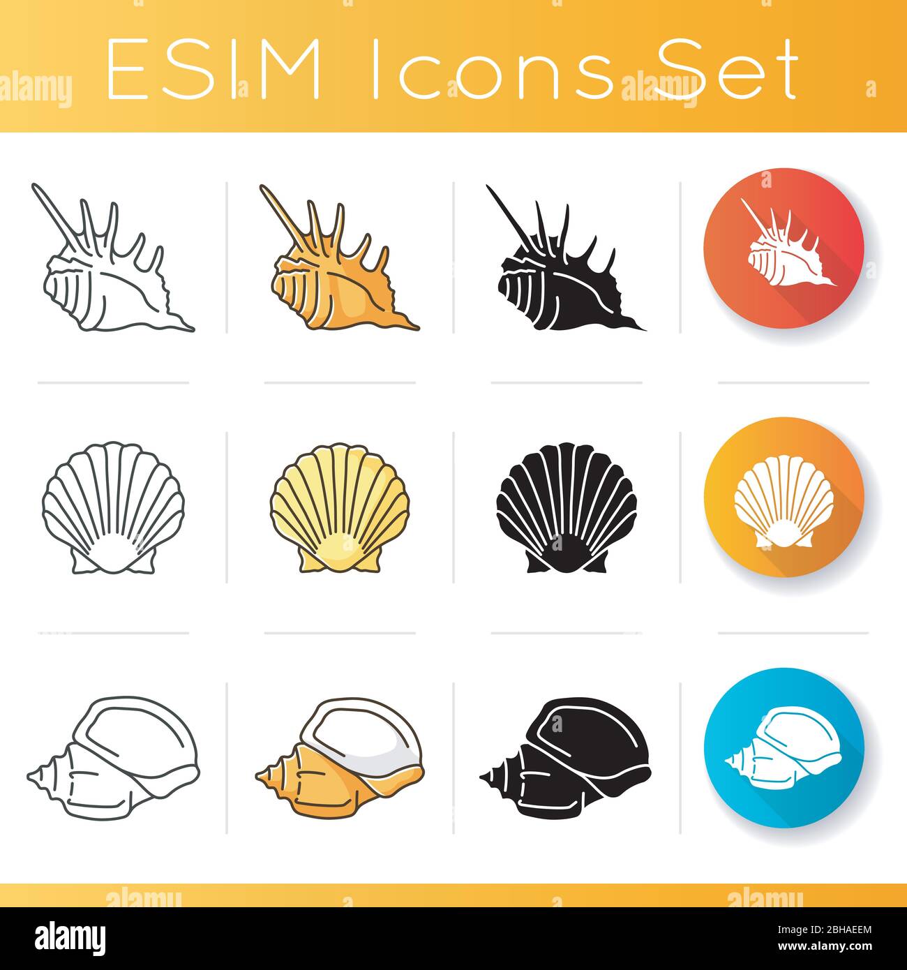 Different seashells Stock Vector Images - Alamy