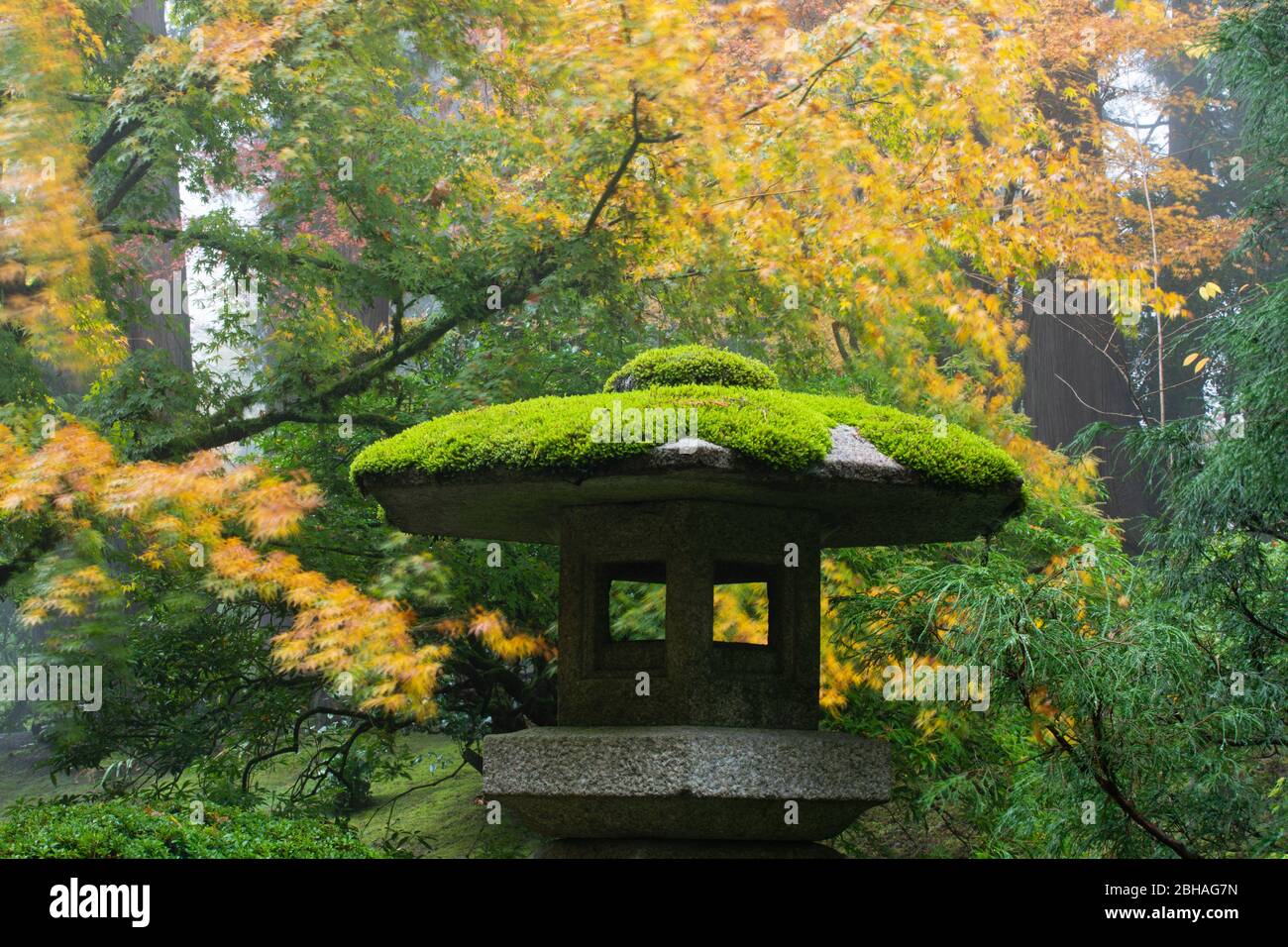 Moss covered pagoda, Japanese Garden, Portland, Oregon, USA Stock Photo ...