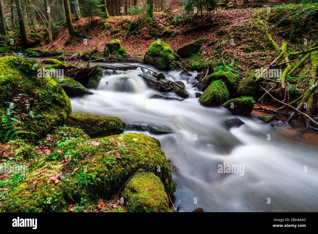 Otterbach Valley in Lower Bavaria, Oberpfalz Germany Stock Photo - Alamy