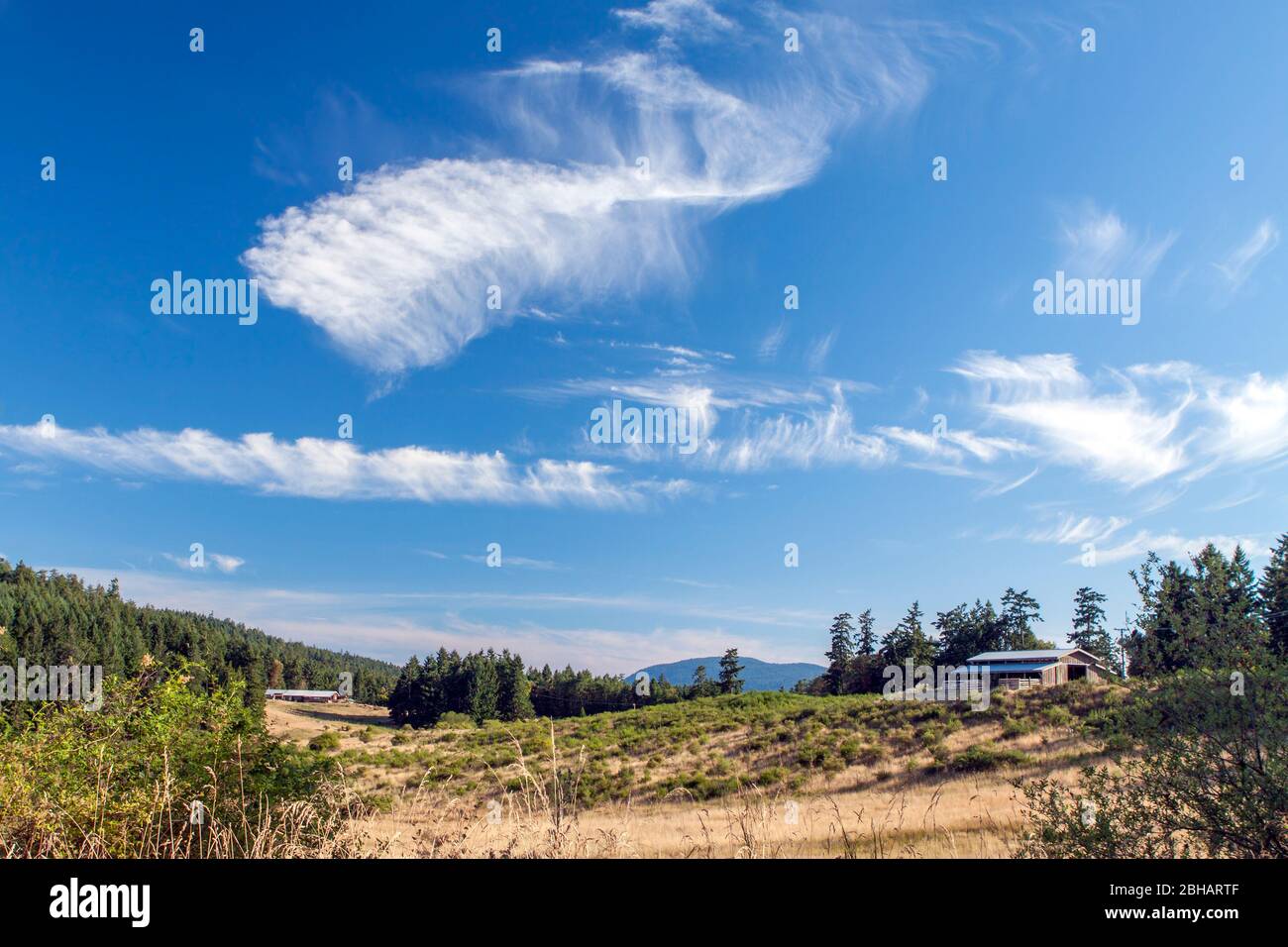 Beautiful view of farm, field, sky and clouds on Salt Spring Island ...