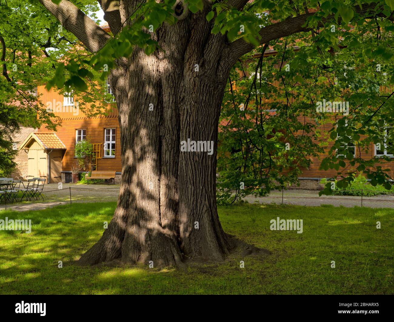 Monastery Garden High Resolution Stock Photography and Images - Alamy