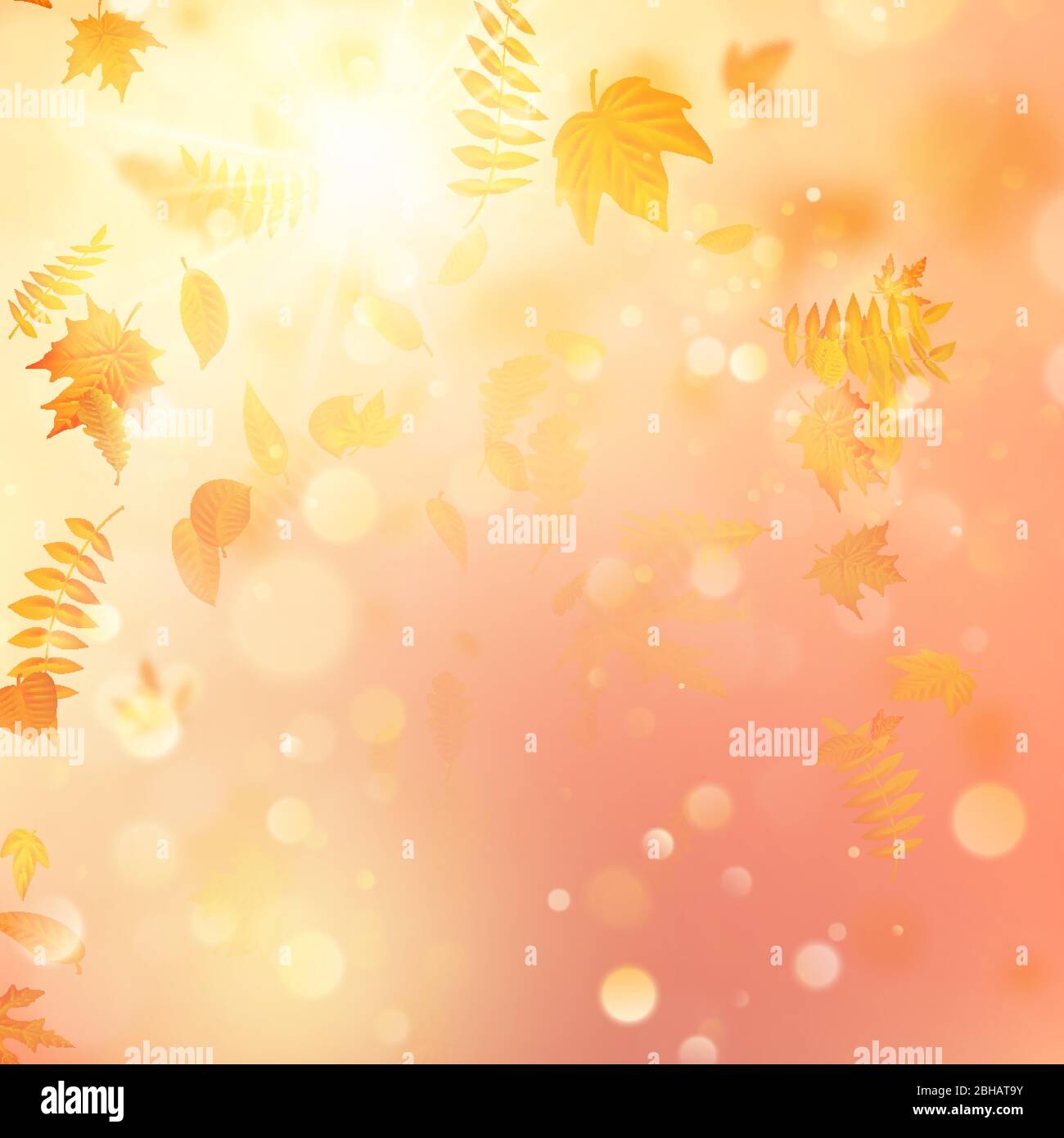 Autumn background with leaves. Back to school template. EPS 10 Stock ...