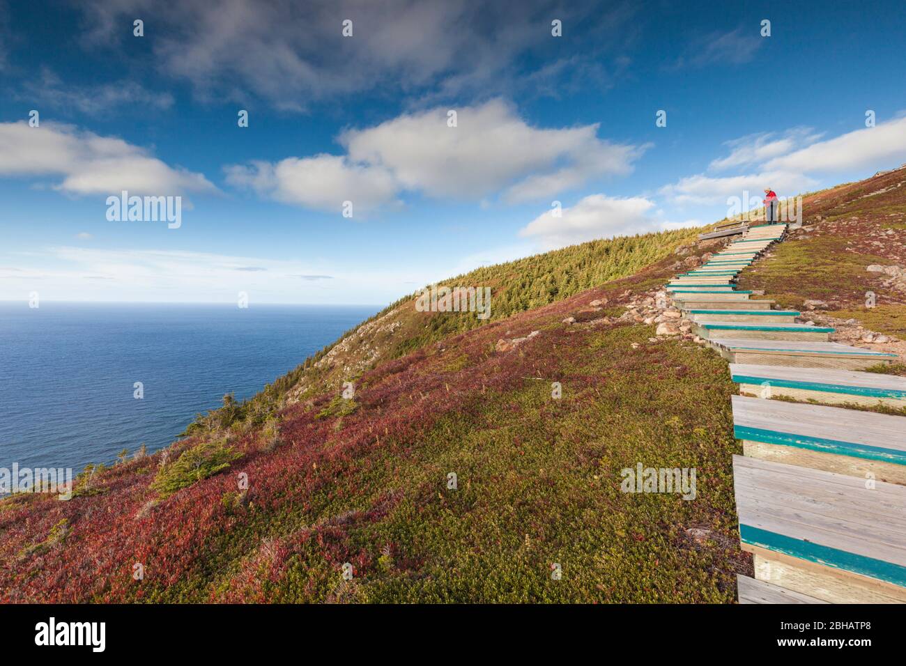 Cabot Trail Skyline