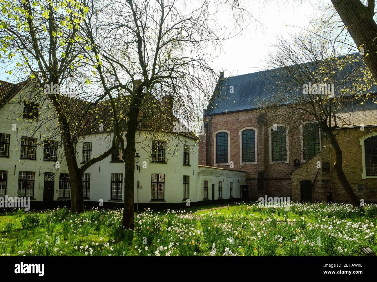 Spring in bruges hi-res stock photography and images - Alamy