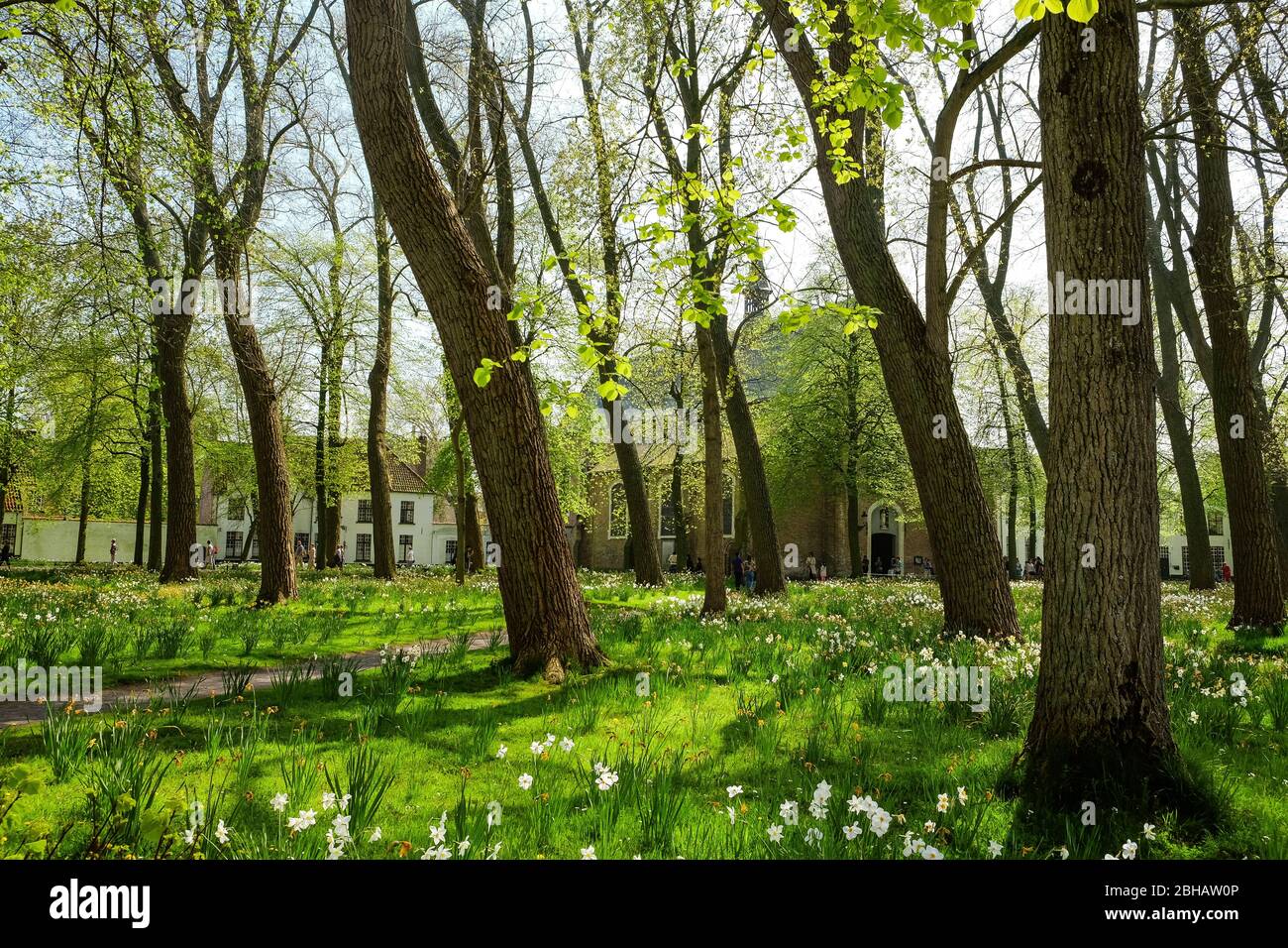 Spring in bruges hi-res stock photography and images - Alamy