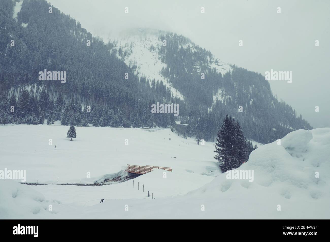 Winter snowfall landscape in hi-res stock photography and images - Alamy