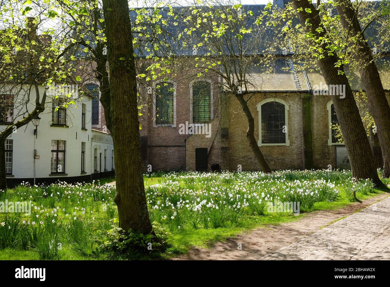 Spring in bruges hi-res stock photography and images - Alamy