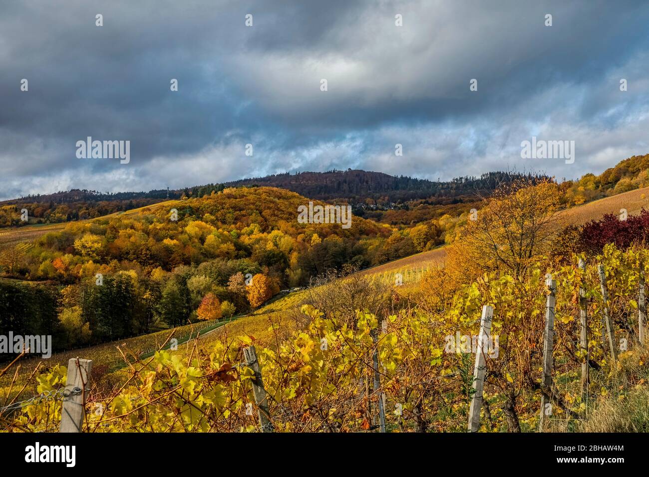 Rheingau german hi-res stock photography and images - Alamy