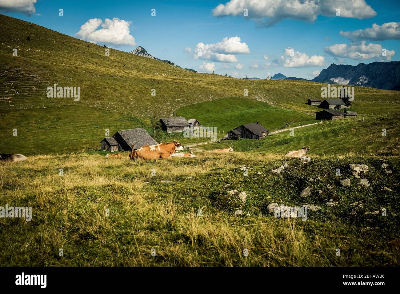 Alpine huts on the Postalm Stock Photo - Alamy
