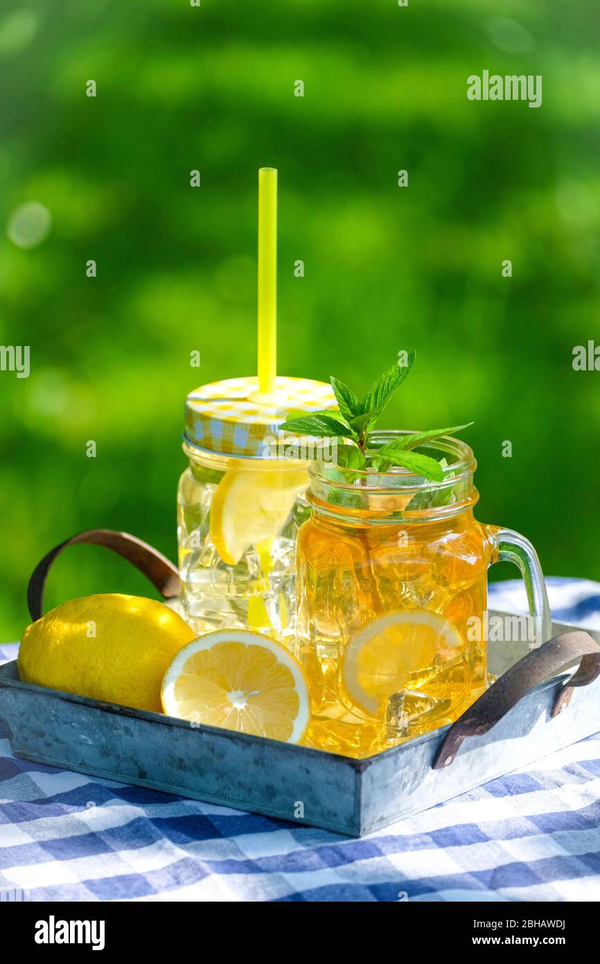 Iced gardens hi-res stock photography and images - Alamy