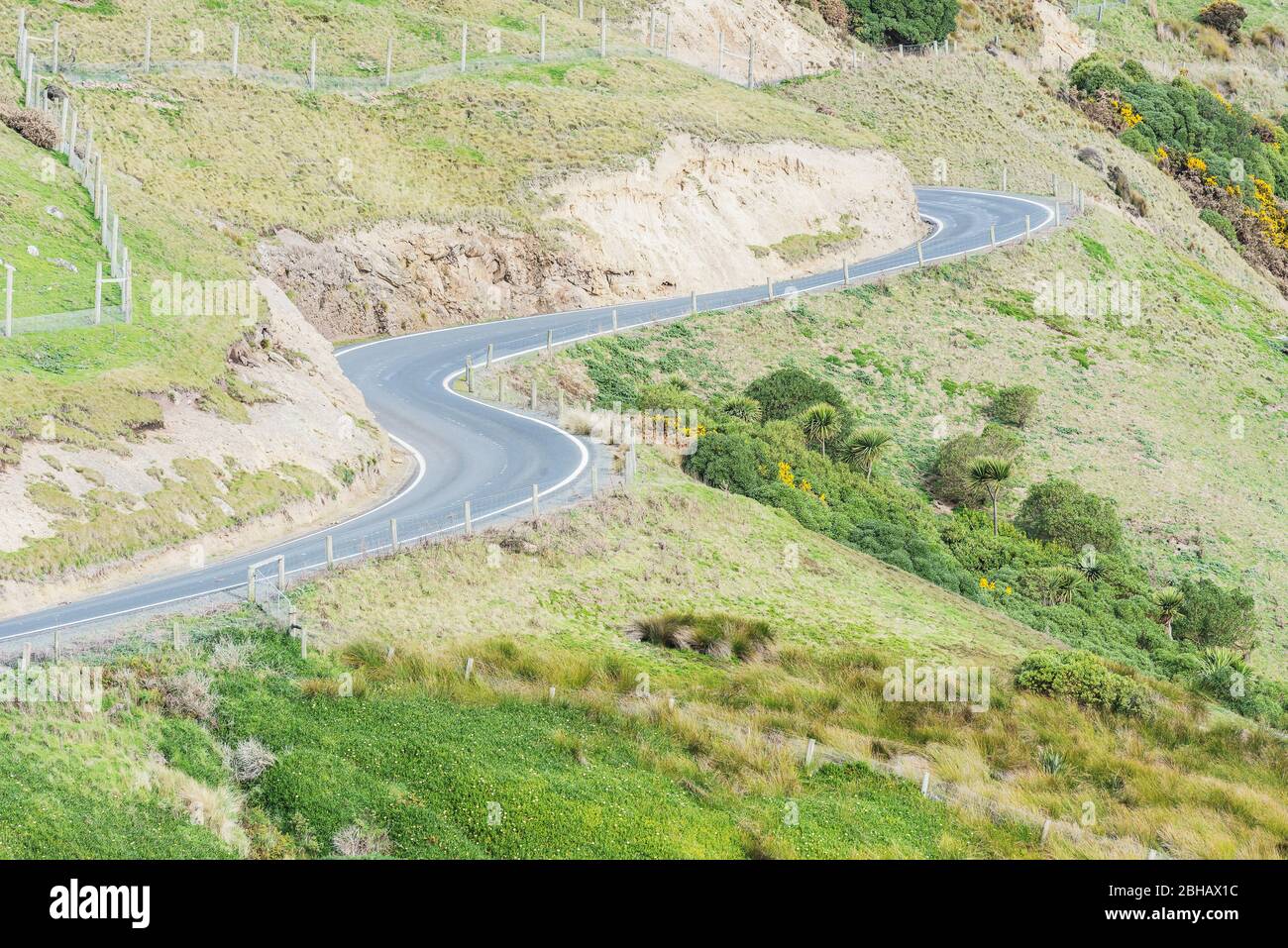 Winding road,Dunedin, Otago, South Island, New Zealand Stock Photo - Alamy