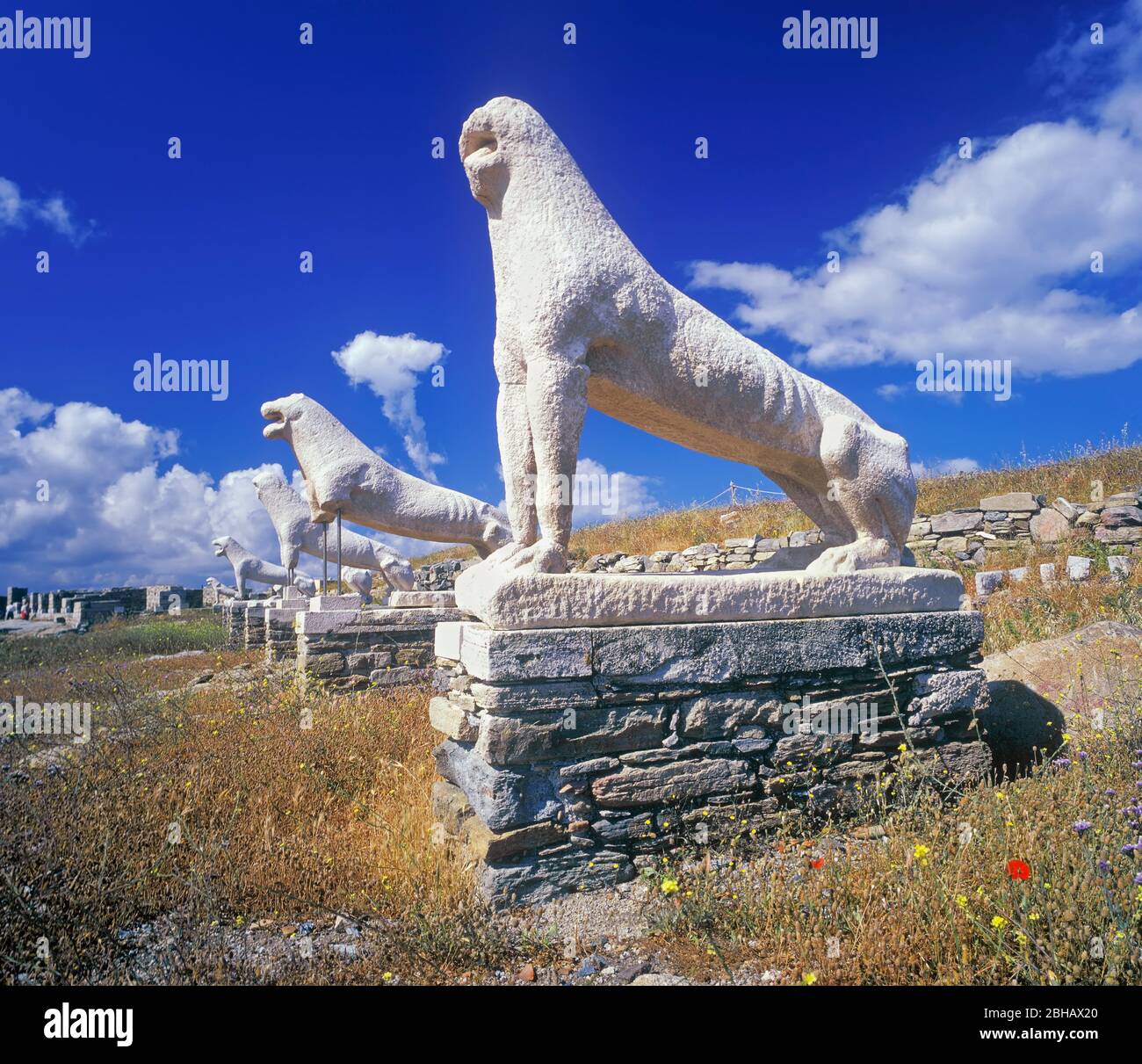 Delos terrace of the lions hi-res stock photography and images - Alamy