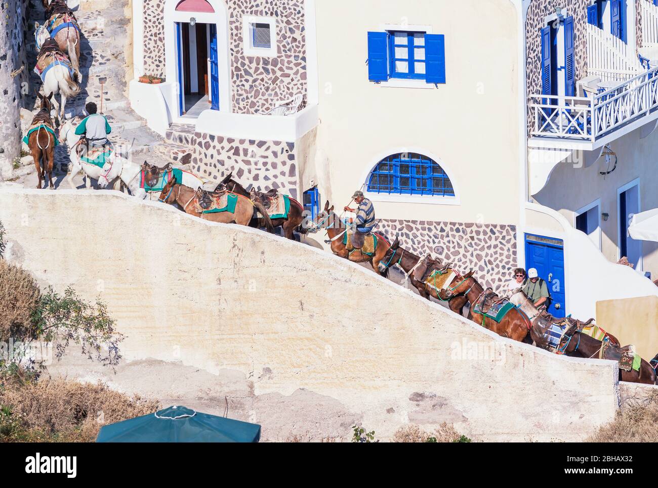 People riding mules up a stairway, Oia, Santorini, Cyclades Islands ...